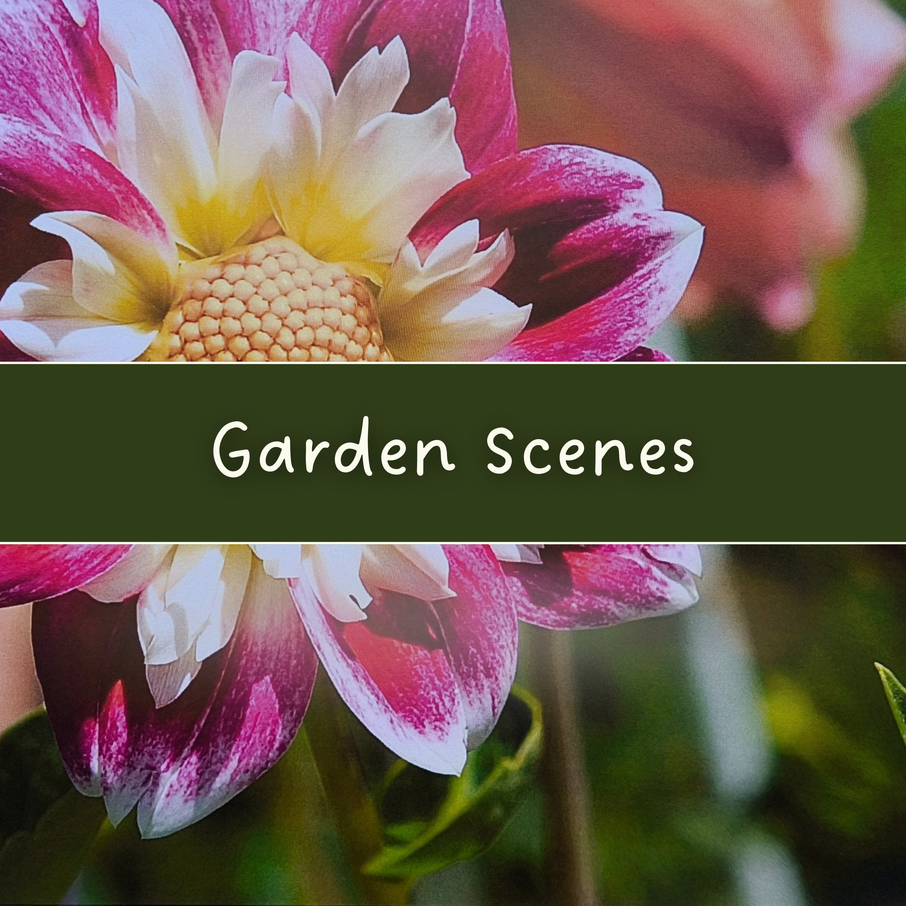 Garden Scenes Collection | Nature Art & Photography by Milly & Gracie ...